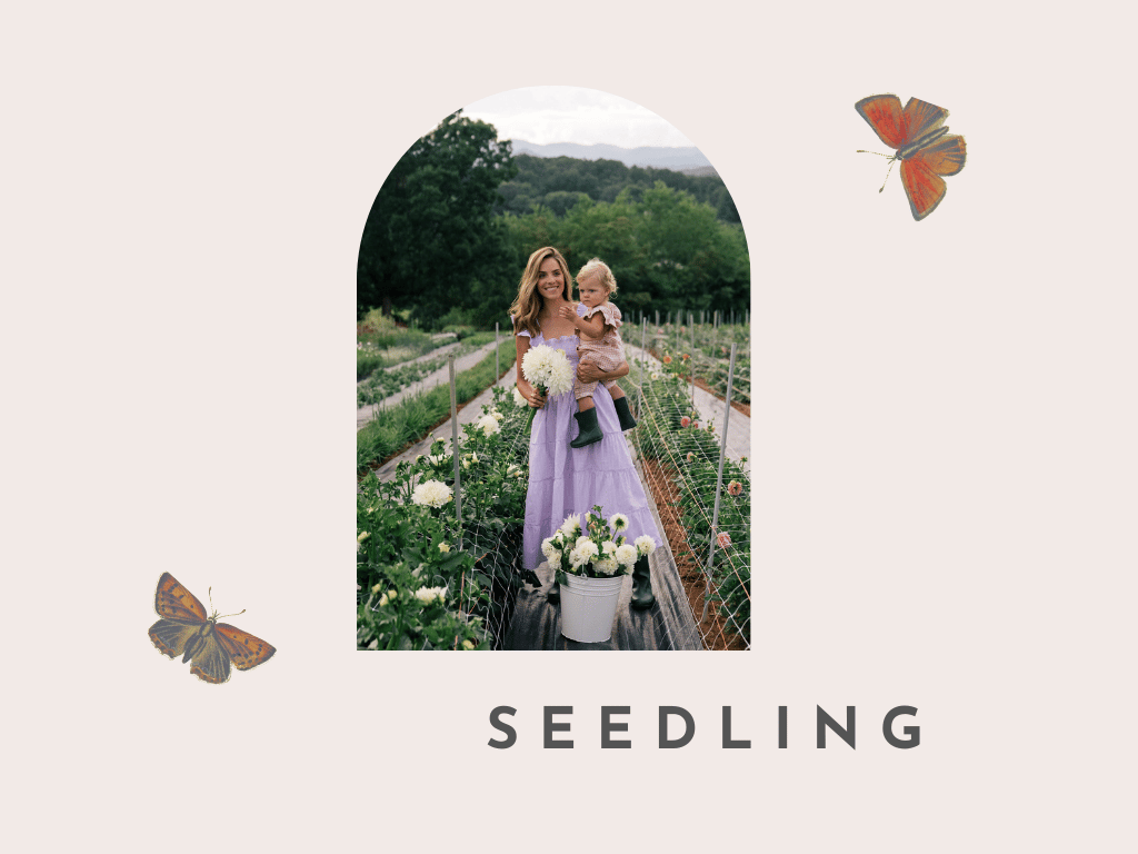 Seedling Giving - Do good, better.
